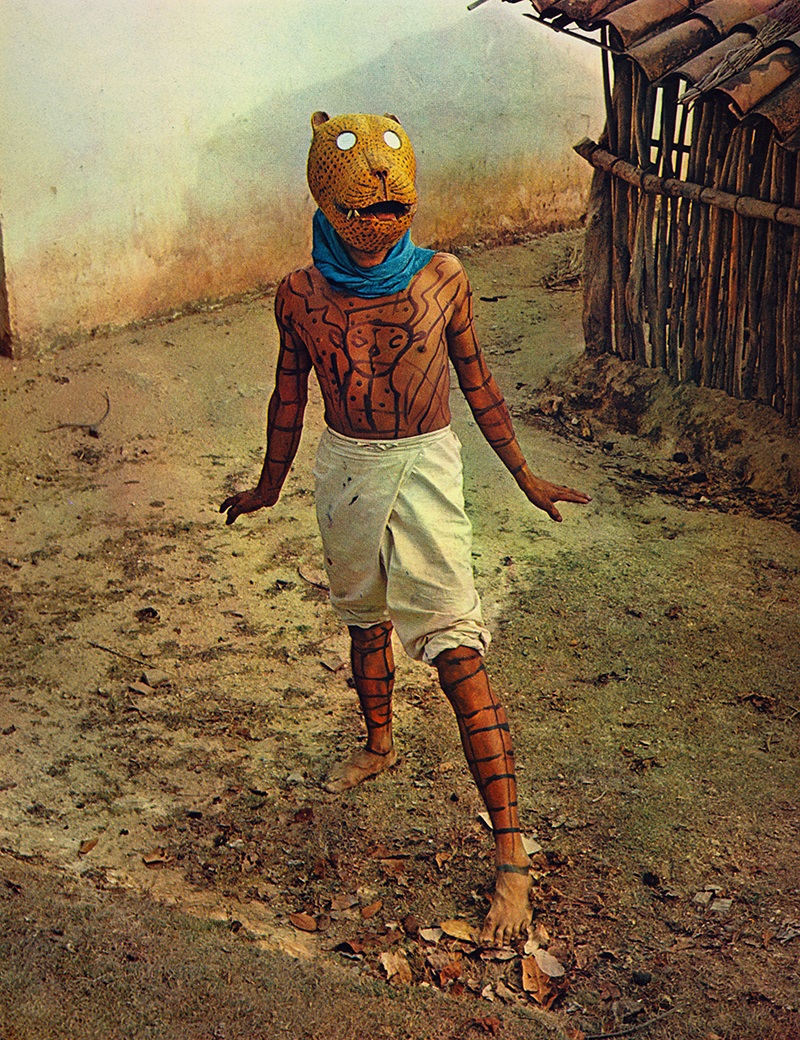 Danza del tigre